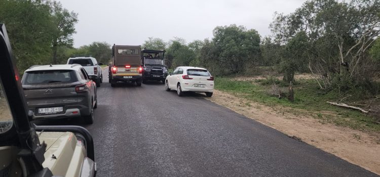 Zimbabwe introduces electronic arrival form - African Safaris Ltd