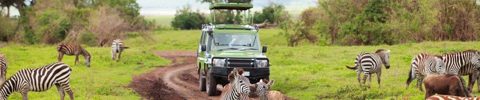 African Safari Pricing Explained - African Safaris Ltd