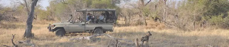 Types of African Safari Vehicles - African Safaris Ltd