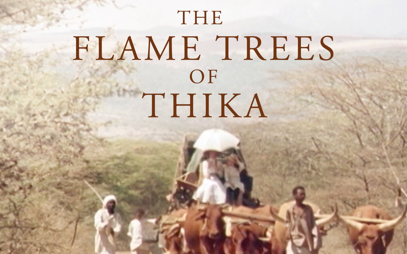The Flame Trees of Thika - African Safaris Ltd