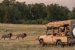 Types of African Safari Vehicles - African Safaris Ltd